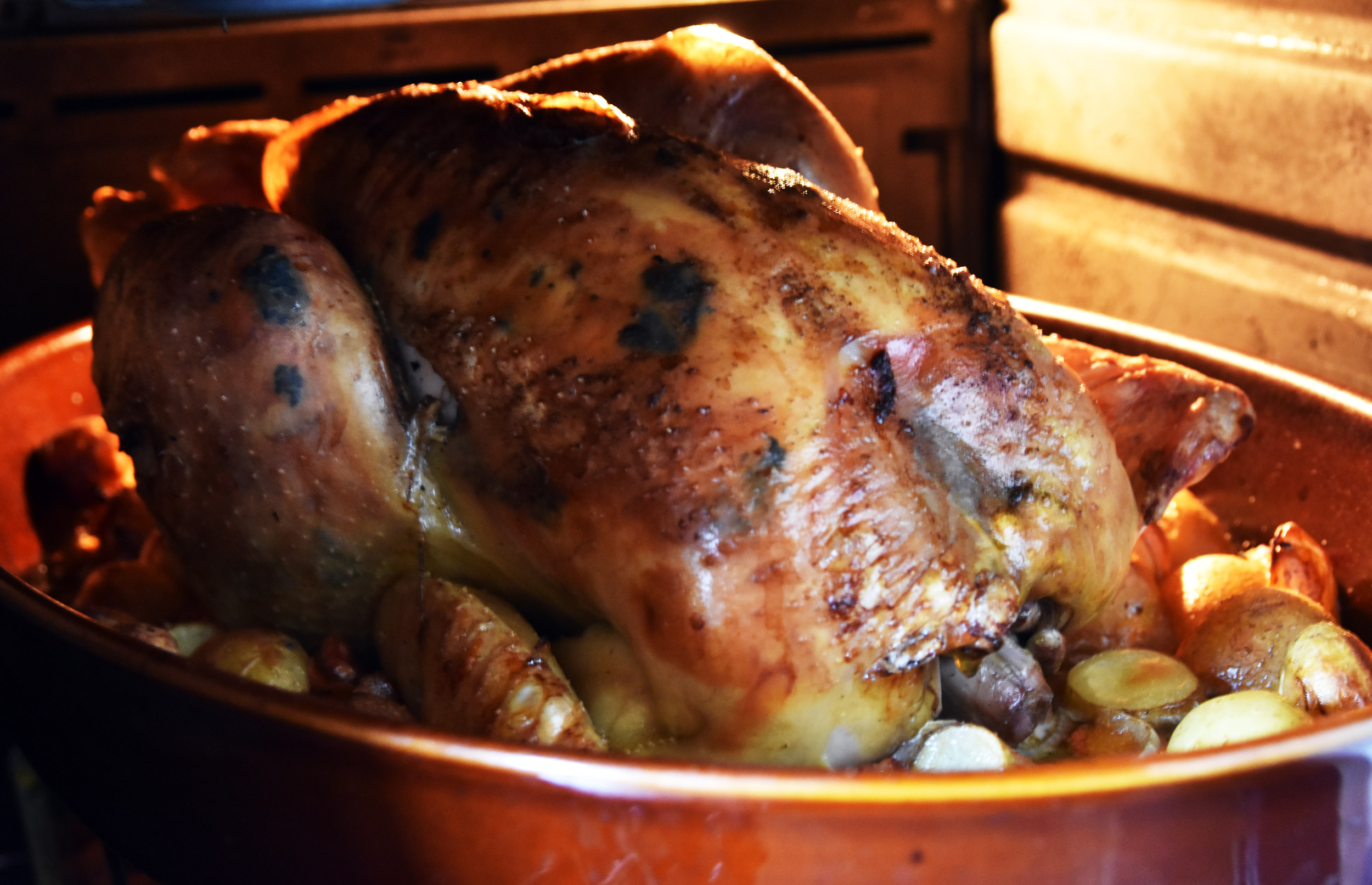 Quelle sauce pour accompagner le poulet rôti ? 🍗🔥 - Saucer.fr